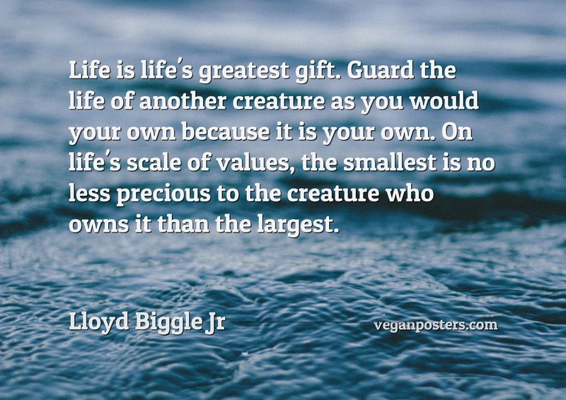 Life is life's greatest gift. Guard the | Vegan Posters